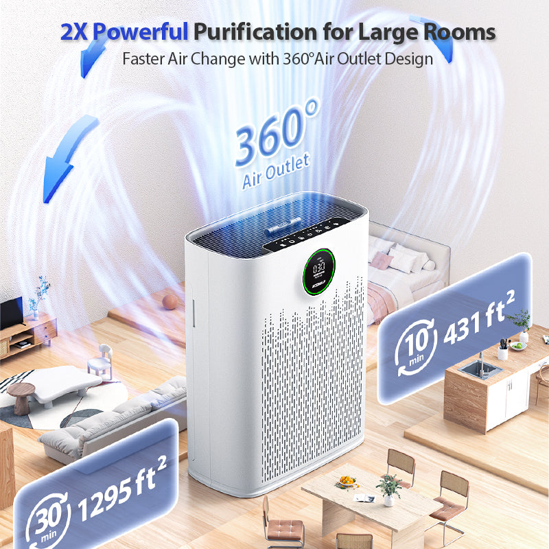 Ecoself Air Purifiers for Home Large Room, with Smart Mode & PM2.5 Air
