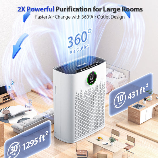Ecoself Air Purifiers for Home Large Room, with Smart Mode & PM2.5 Air ...