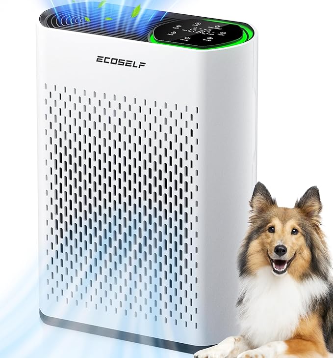 Powerful Air Purifiers for Home Large Room Up to 2400 Ft², ECOSELF HEP ...